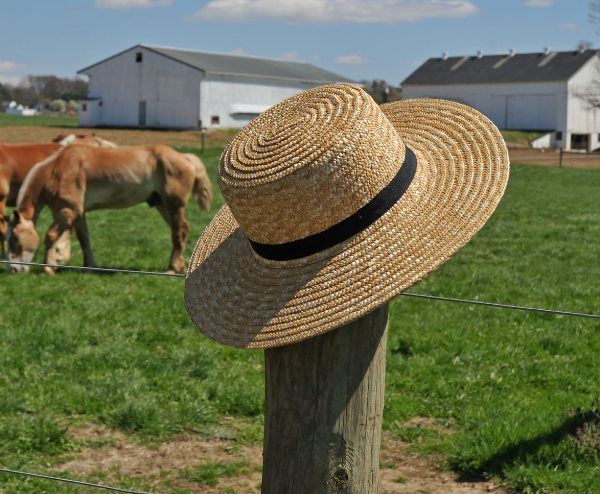 More about our team at Lelands Cabins!